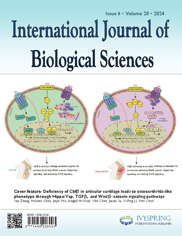 Cover images