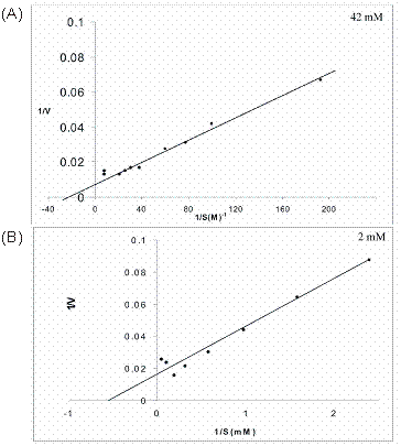 Purification, properties and alternate substrate specificities of ...
