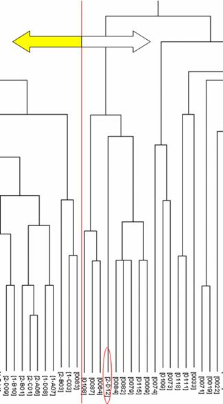 Interactions between SNP Alleles at Multiple Loci Contribute to Skin ...