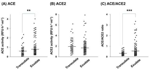ACE/ACE2 Ratio and MMP-9 Activity as Potential Biomarkers in ...