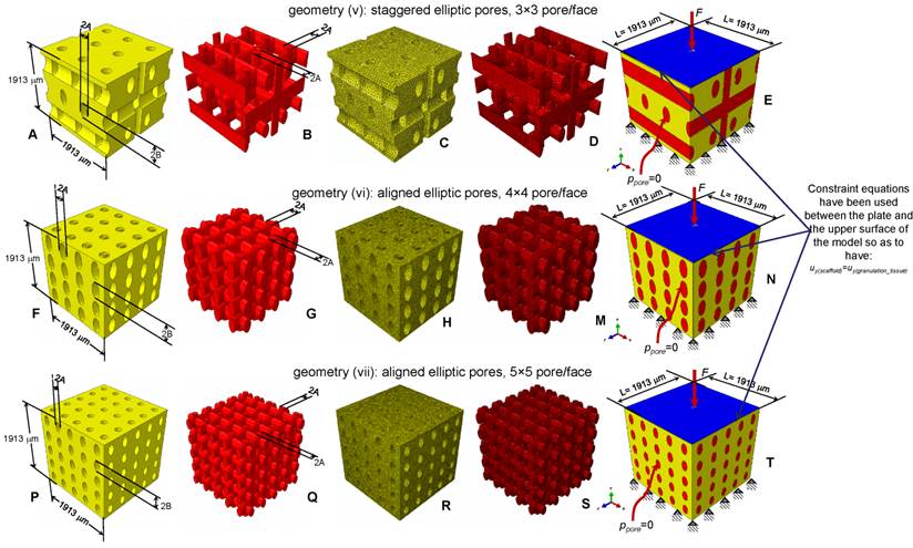 A Mechanobiology-based Algorithm to Optimize the Microstructure ...