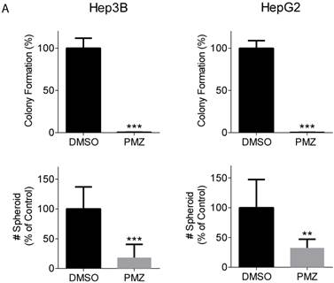 Inhibition of wnt/β-catenin Signaling in Hepatocellular Carcinoma by an ...