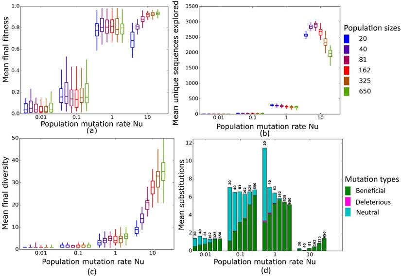 Effect of Population Size and Mutation Rate on the Evolution of RNA ...