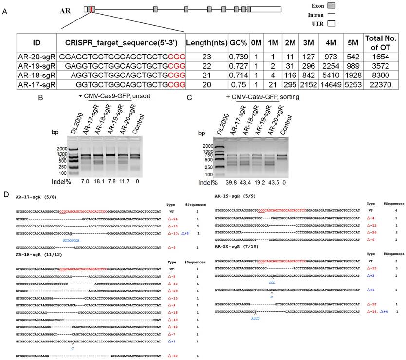 CRISPR-offinder: a CRISPR guide RNA design and off-target searching ...