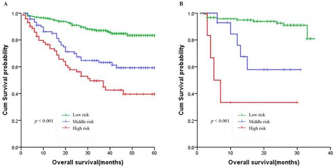 Development and Validation of a Prognostic Nomogram in AFP-negative ...