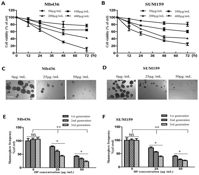 Huaier polysaccharide inhibits the stem-like characteristics of ERα ...