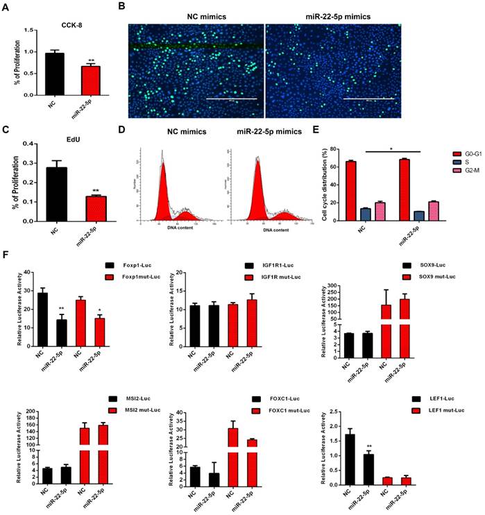 Exosomal Micro RNAs Derived from Dermal Papilla Cells Mediate Hair ...