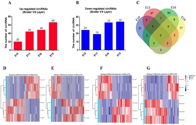 Circular RNA profiling identified an abundant circular RNA circTMTC1 ...