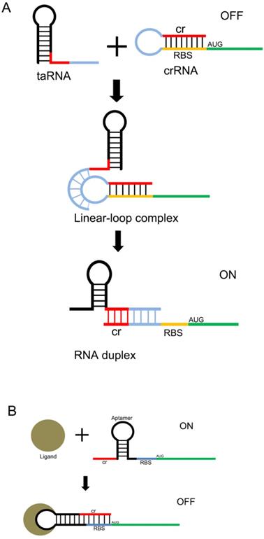 Engineering Cellular Signal Sensors based on CRISPR-sgRNA ...