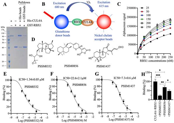 The small molecule PSSM0332 disassociates the CRL4ADCAF8 E3 ligase ...