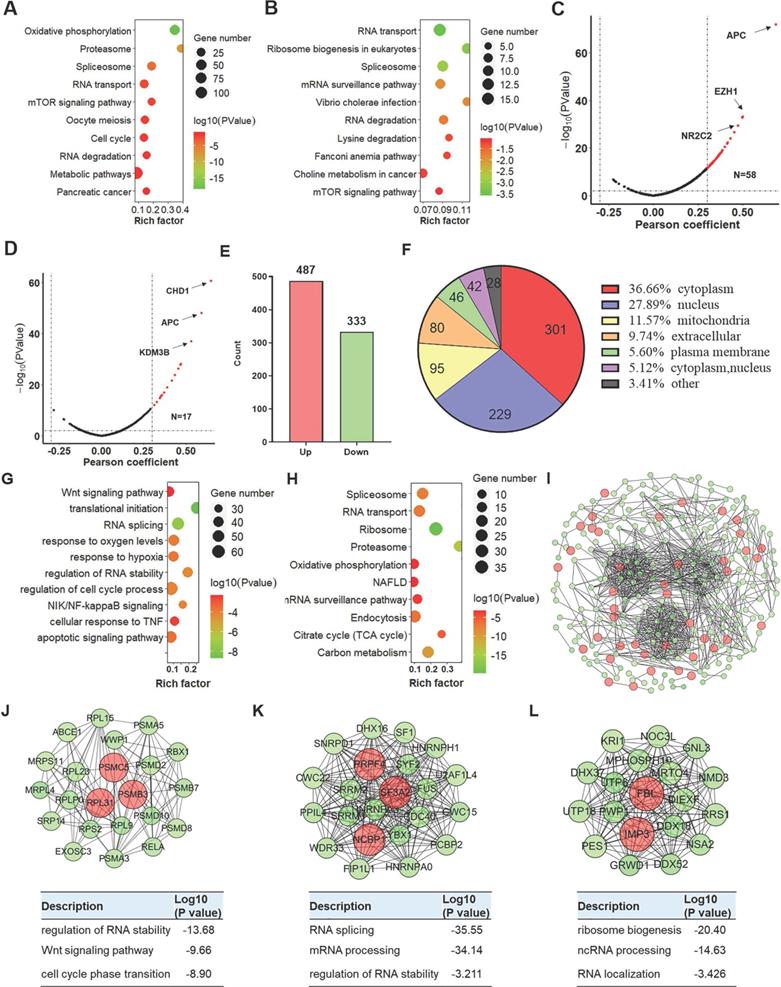 Downregulation of m6A Reader YTHDC2 Promotes the Proliferation and ...