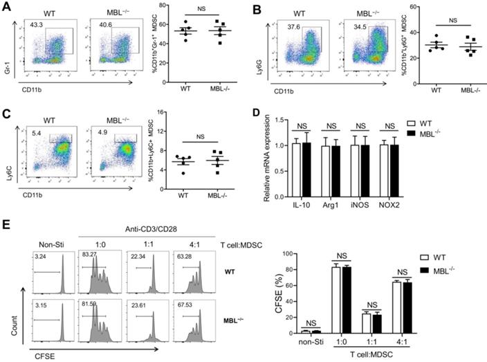 Mannan-Binding Lectin Deficiency Limits Inflammation-induced Myeloid ...