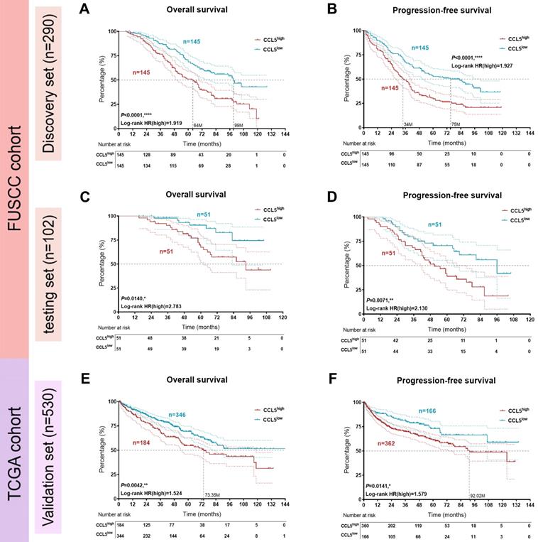 Tumor-associated macrophage-derived chemokine CCL5 facilitates the ...