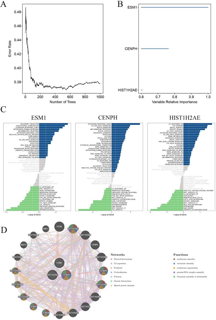 Validation of ESM1 Related to Ovarian Cancer and the Biological ...