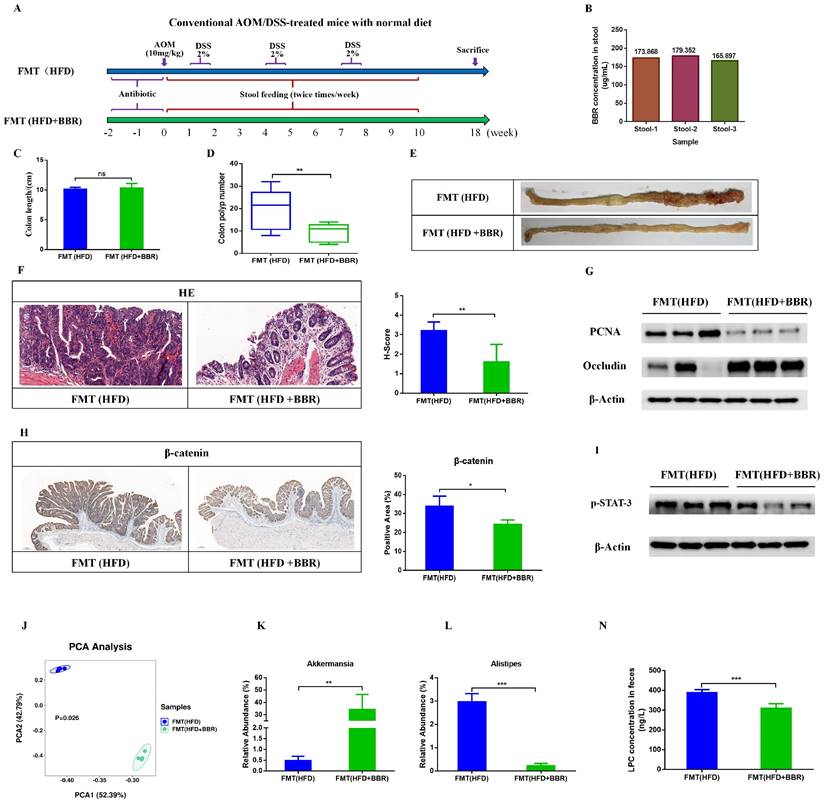 Berberine inhibits high fat diet-associated colorectal cancer through ...