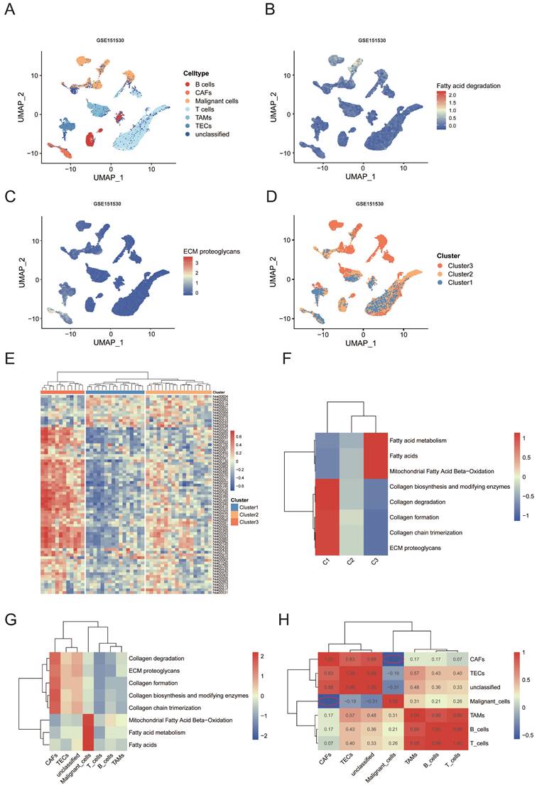 Bulk and single-cell transcriptome profiling reveal extracellular ...