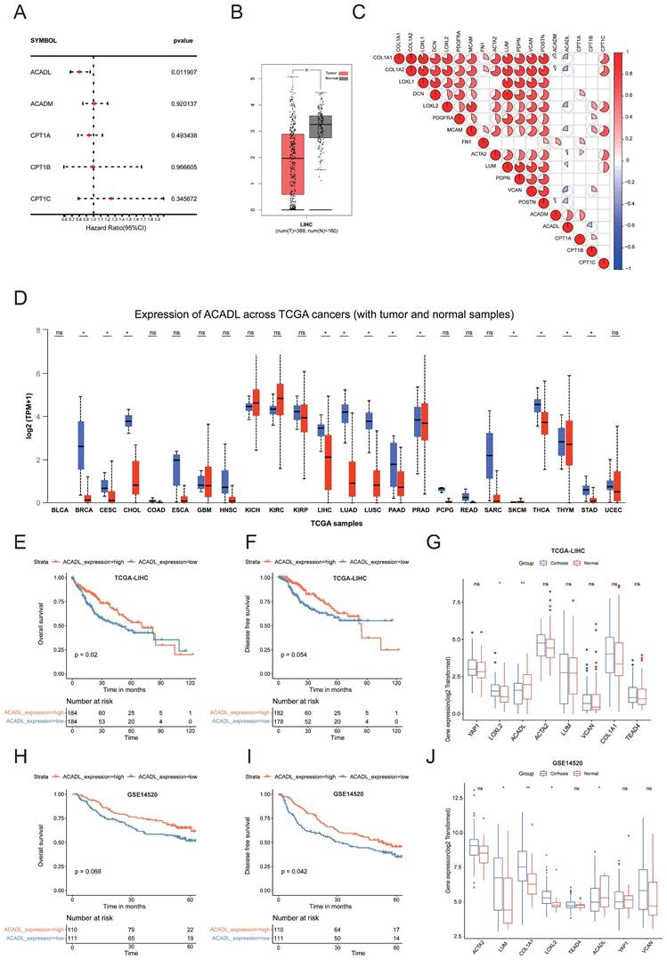 Bulk and single-cell transcriptome profiling reveal extracellular ...
