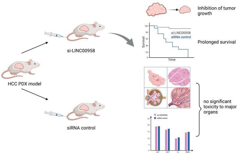Crosstalk between N6-methyladenosine (m6A) modification and noncoding RNA in tumor microenvironment