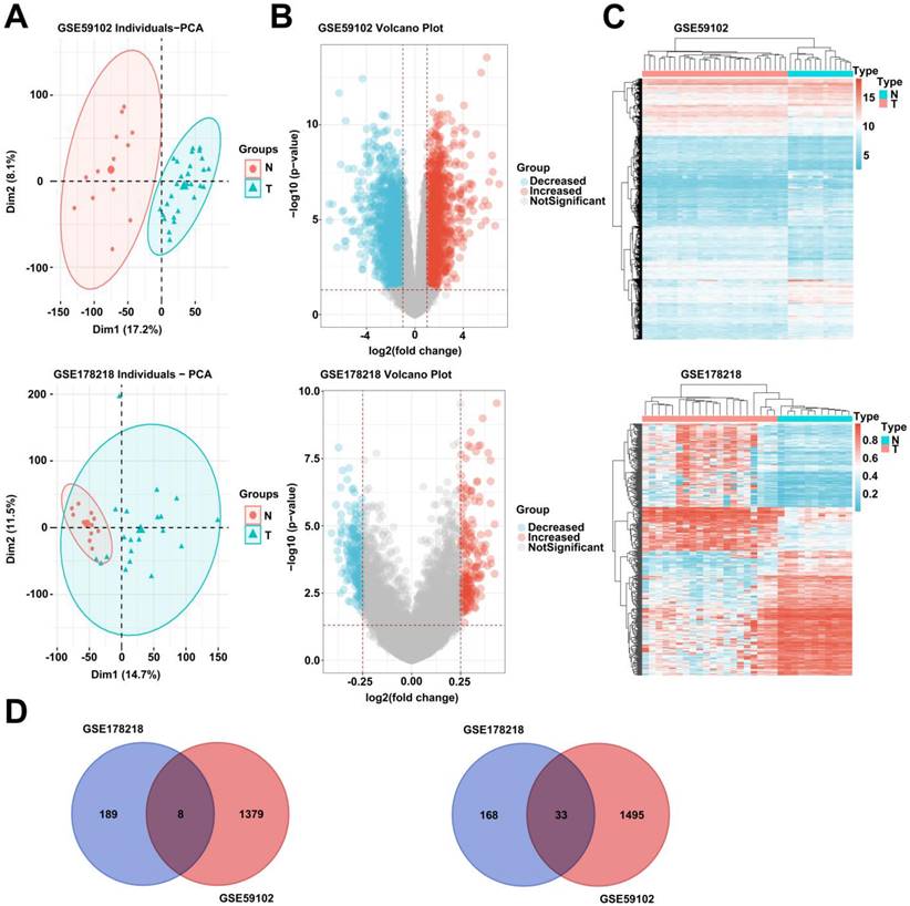 Decreased methylation of ZNF671 suppresses tumor progression by ...