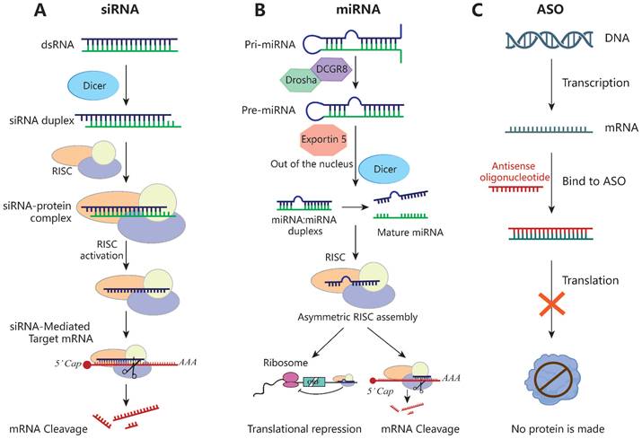 Emerging Progress of RNA-Based Antitumor Therapeutics