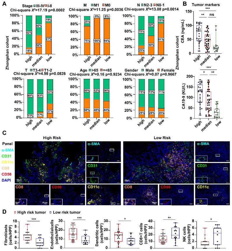 CD36-BATF2\MYB Axis Predicts Anti-PD-1 Immunotherapy Response in ...