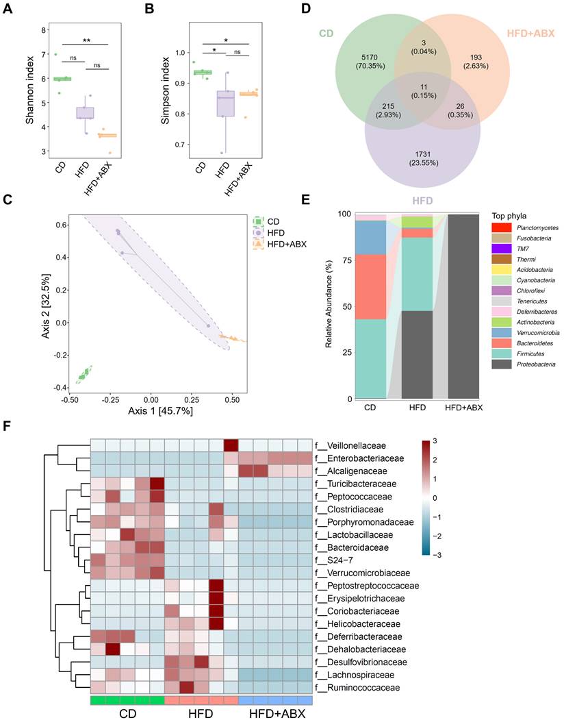 High-fat diet promotes colitis-associated tumorigenesis by altering gut ...