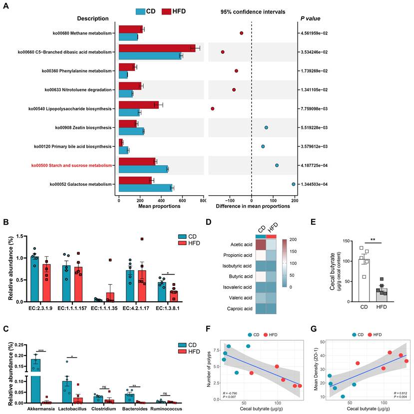 High-fat diet promotes colitis-associated tumorigenesis by altering gut ...