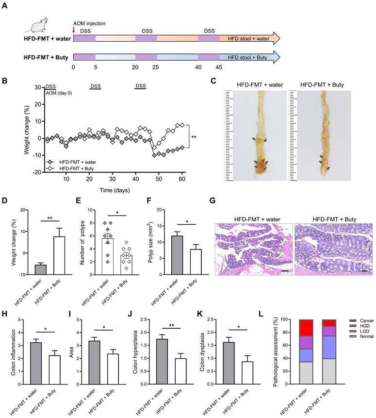 High-fat diet promotes colitis-associated tumorigenesis by altering gut ...