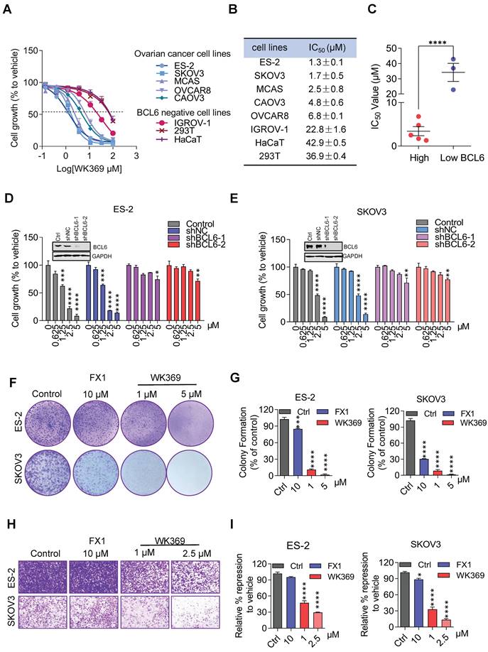 Selectively targeting BCL6 using a small molecule inhibitor is a ...