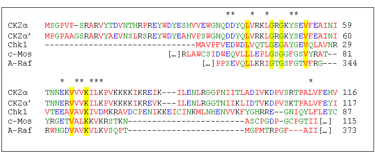 The Multiple Personalities of the Regulatory Subunit of Protein Kinase ...