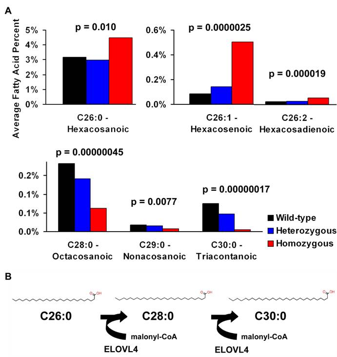 Essential role of Elovl4 in very long chain fatty acid synthesis, skin ...