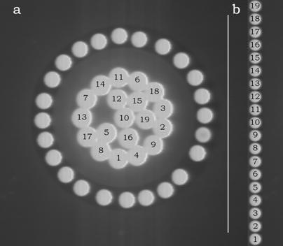 A polychromator-based microspectrophotometer