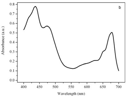 A polychromator-based microspectrophotometer