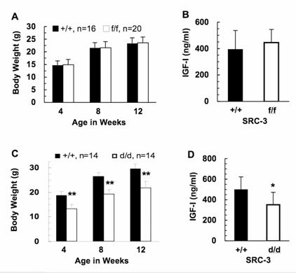 Generation and Validation of a Mouse Line with a Floxed SRC-3/AIB1 ...
