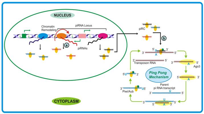 The Fascinating World of RNA Interference