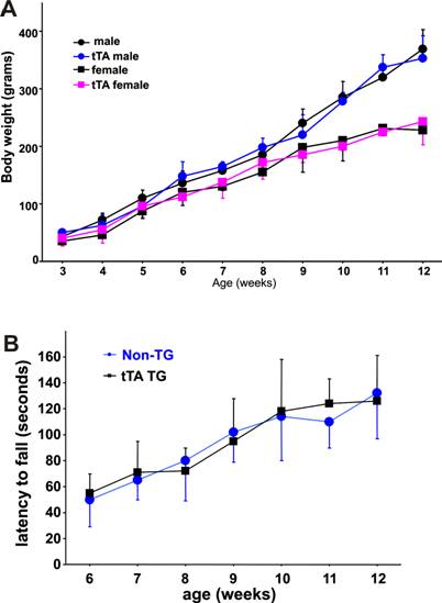 Developing tTA Transgenic Rats for Inducible and Reversible Gene Expression