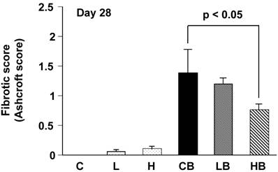 Vesnarinone Represses the Fibrotic Changes in Murine Lung Injury ...