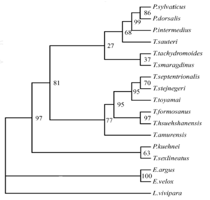 Bioinformatics Analysis the Complete Sequences of Cytochrome b of ...
