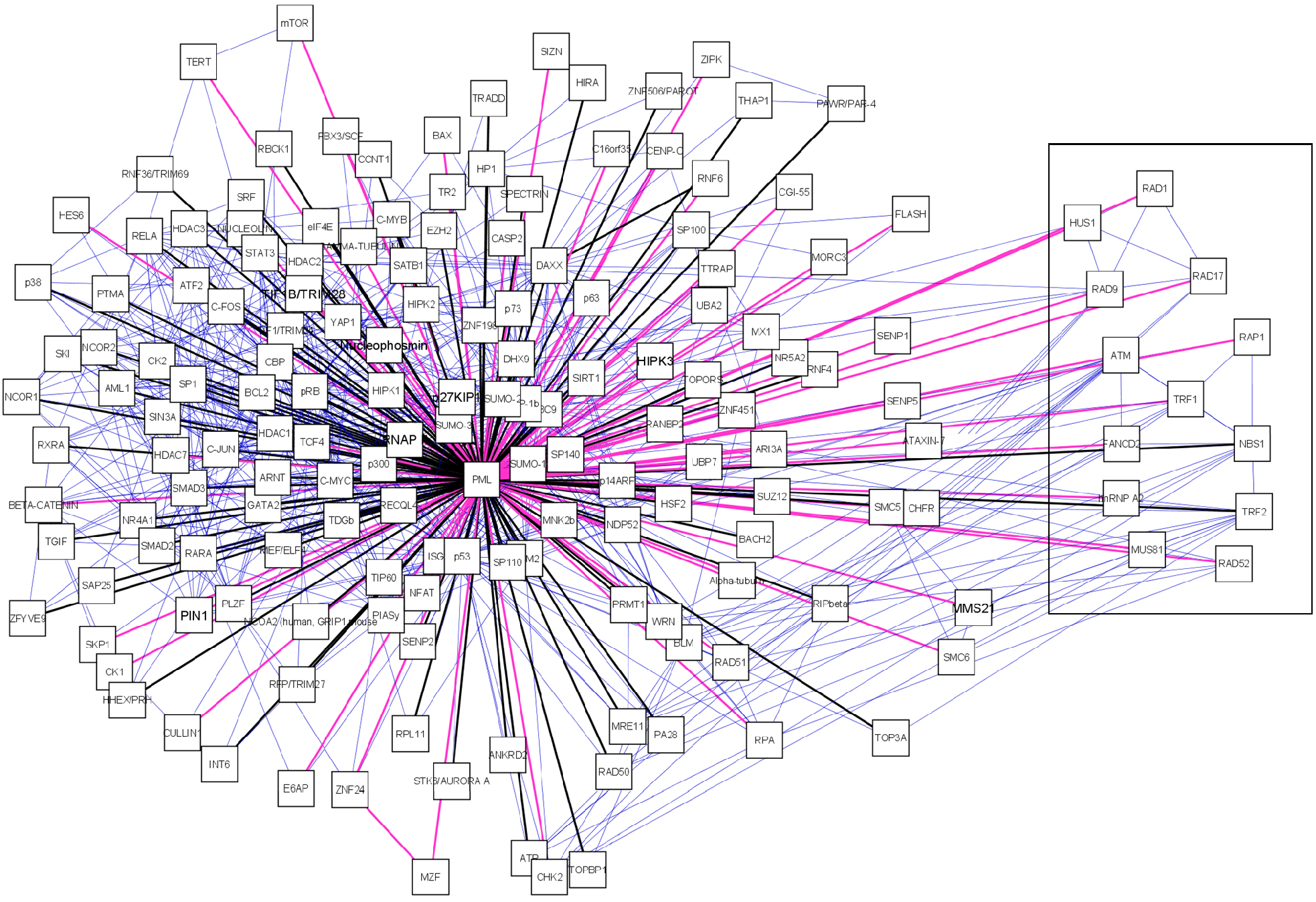 A manually curated network of the PML nuclear body interactome reveals ...