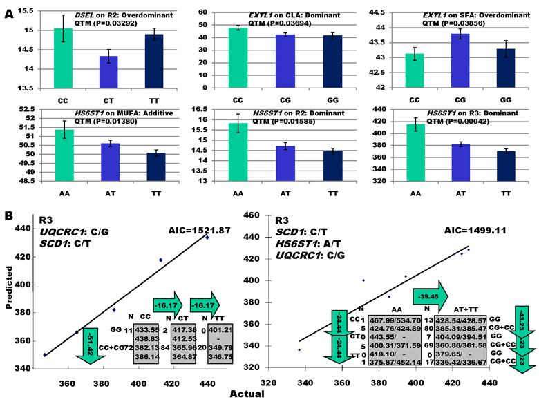 The Heparan and Heparin Metabolism Pathway is Involved in Regulation of ...