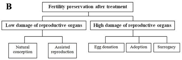 Preservation of Fertility in Females Treated for Cancer