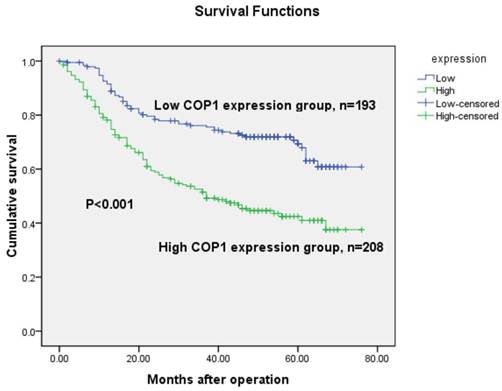 High Level of COP1 Expression is Associated with Poor Prognosis in ...