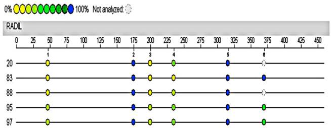 Karyotypic and Molecular Genetic Changes Associated With Fetal ...