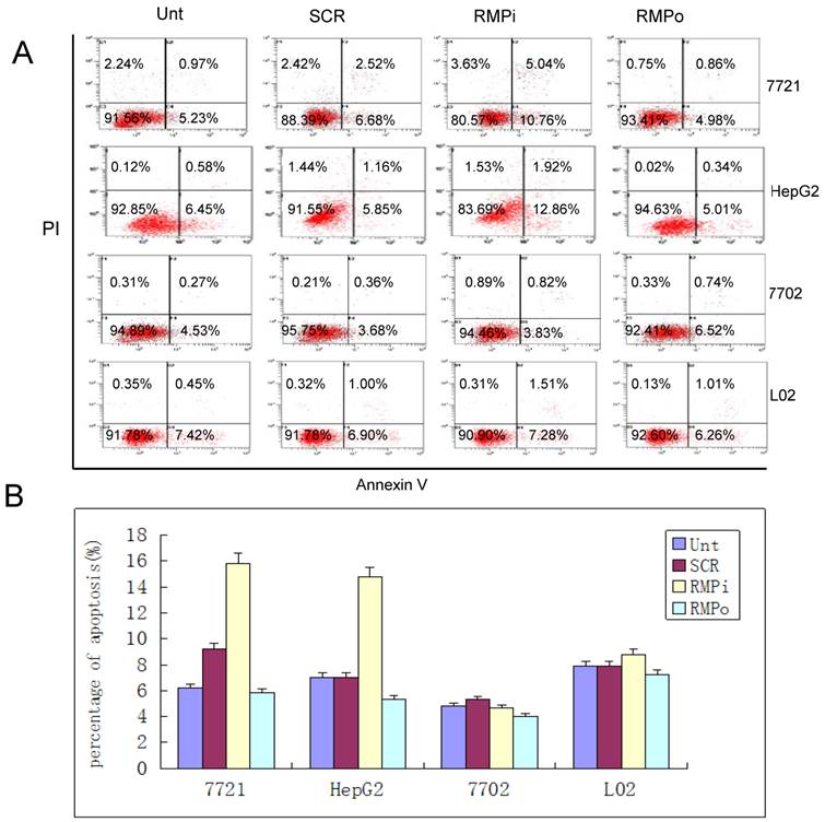 RMP Plays Distinct Roles in the Proliferation of Hepatocellular ...