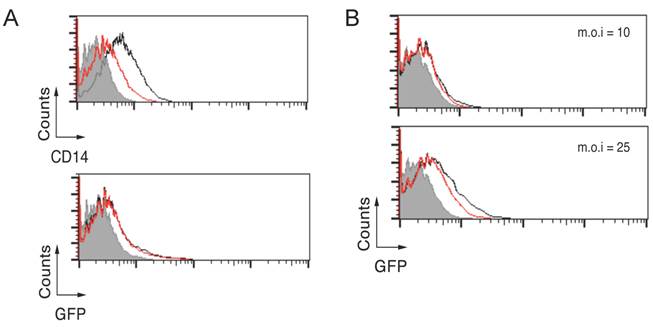 CD14 Targets Complement Receptor 3 to Lipid Rafts during Phagocytosis ...