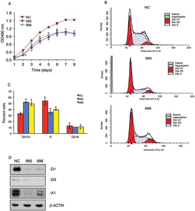 PTHrP Expression in Human MDA-MB-231 Breast Cancer Cells Is Critical ...