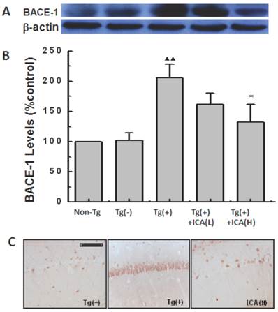 Icariin Decreases the Expression of APP and BACE-1 and Reduces the β ...
