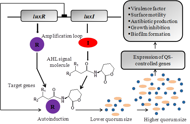 Quorum Quenching Mediated Approaches for Control of Membrane Biofouling