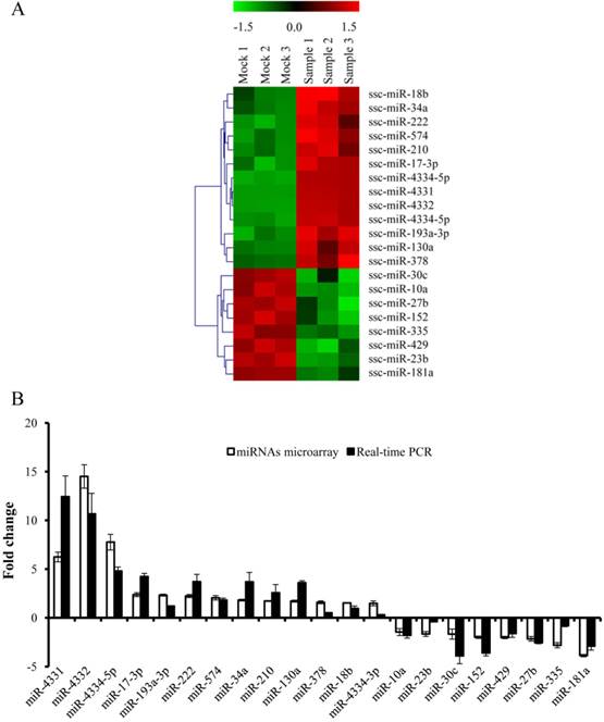 Transmissible Gastroenteritis Virus (TGEV) Infection Alters the ...