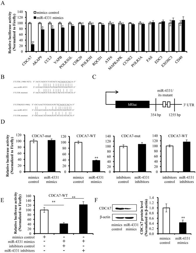 Transmissible Gastroenteritis Virus (TGEV) Infection Alters the ...